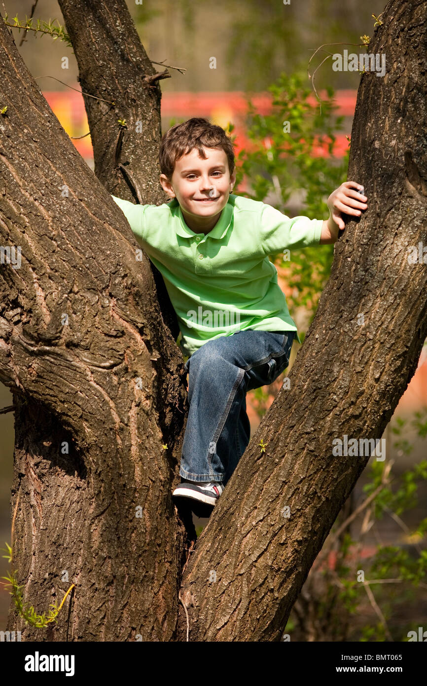 Portrait of a happy child climbing in a tree in a park Stock Photo - Alamy