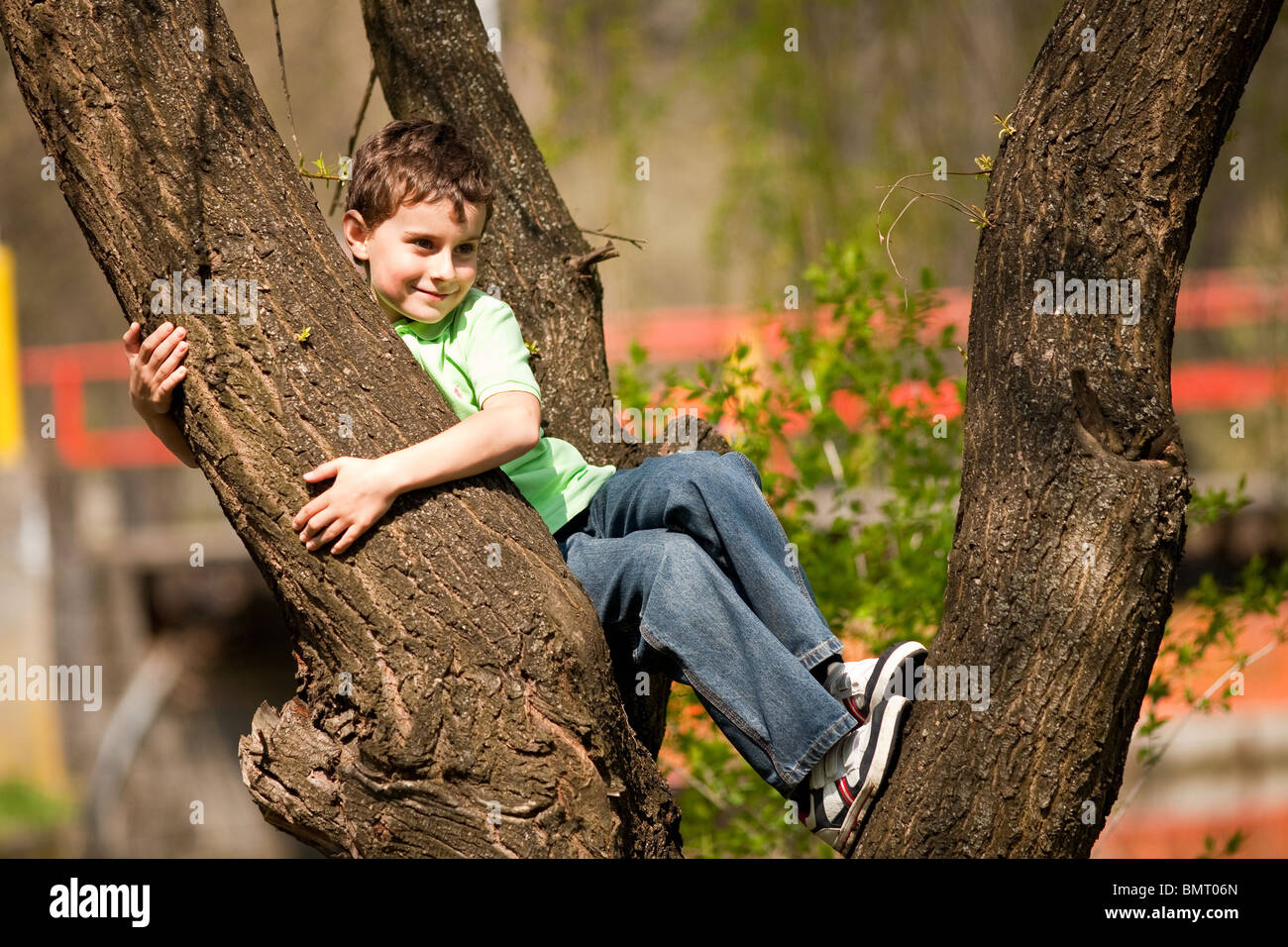 Portrait of a happy child climbing in a tree in a park Stock Photo - Alamy