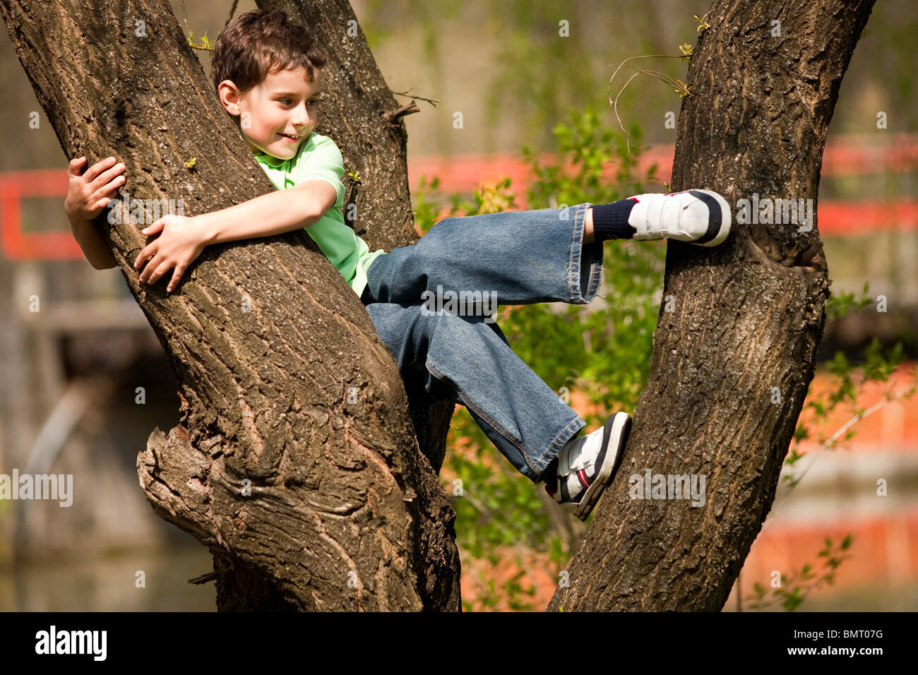 Portrait of a happy child climbing in a tree in a park Stock Photo - Alamy