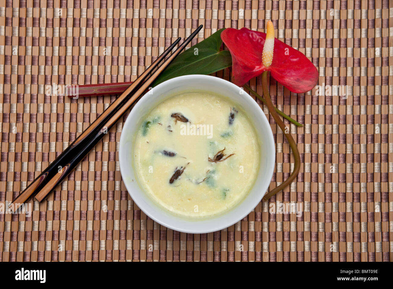 Creamy Cricket Soup from Asian countries. © Myrleen Pearson Stock Photo ...