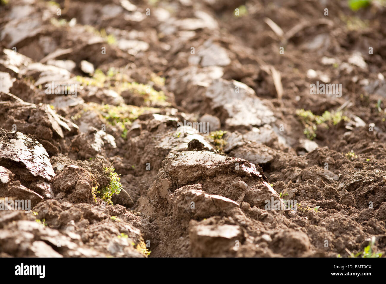 Close up shot of plough soil with shallow depth of field Stock Photo ...