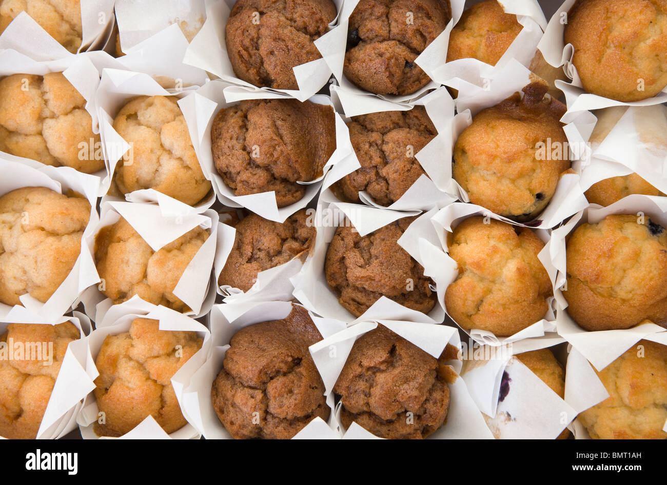 lots of freshly baked small muffins cakes in rows Stock Photo - Alamy
