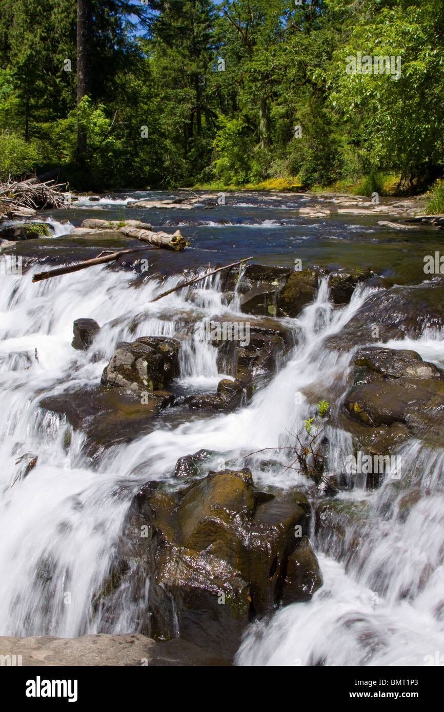 Willamette river rock hi-res stock photography and images - Alamy