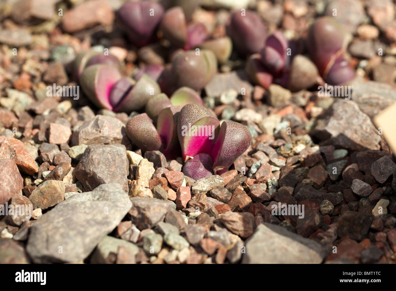 Splitrock hi-res stock photography and images - Alamy