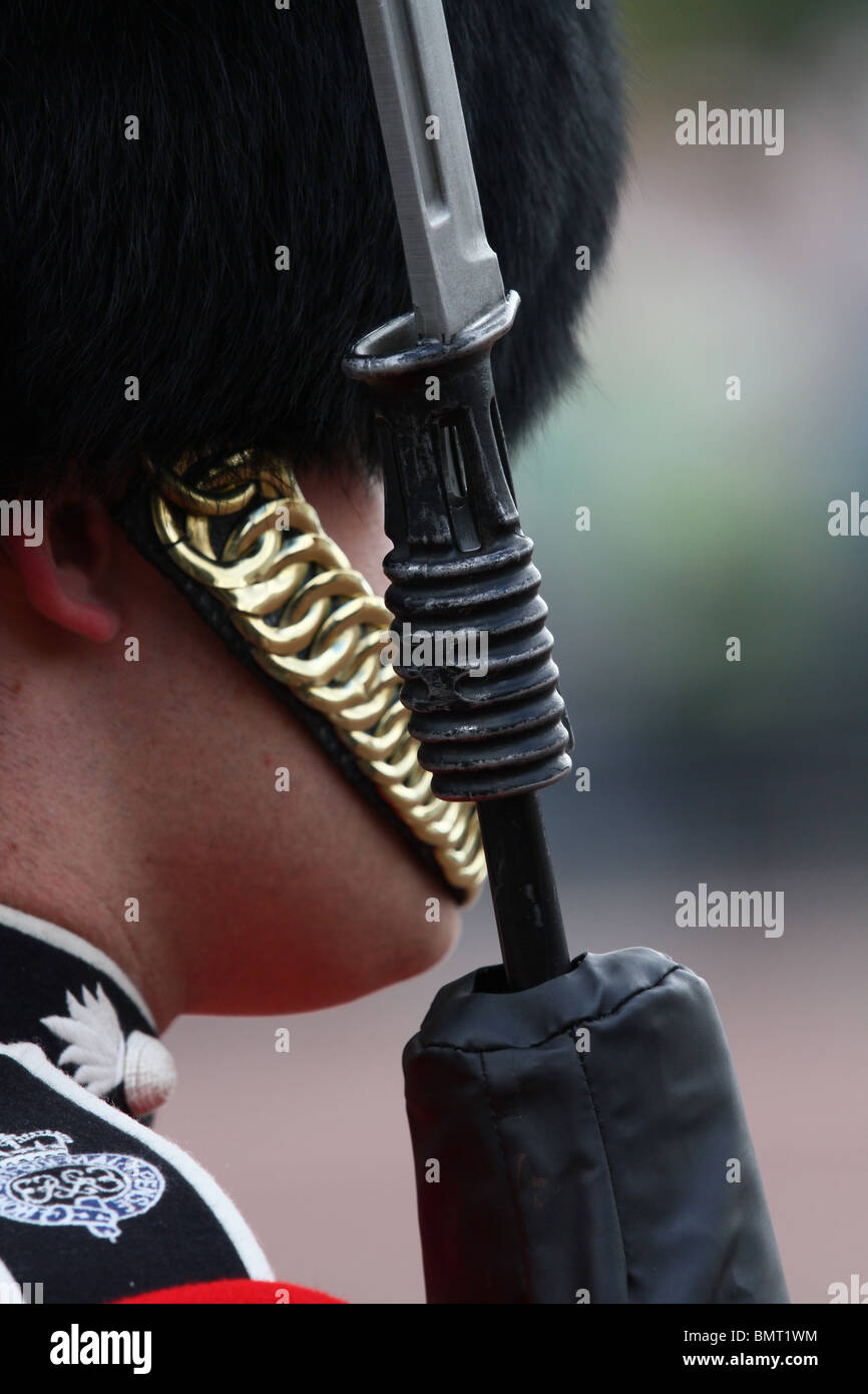 Busby hat hi-res stock photography and images - Alamy