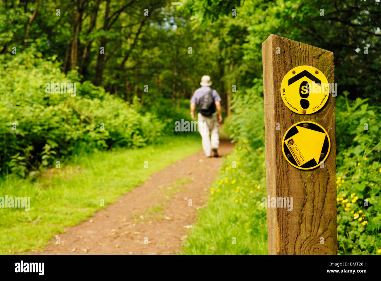 Direction signs for Sandstone trail with walker in background Stock ...