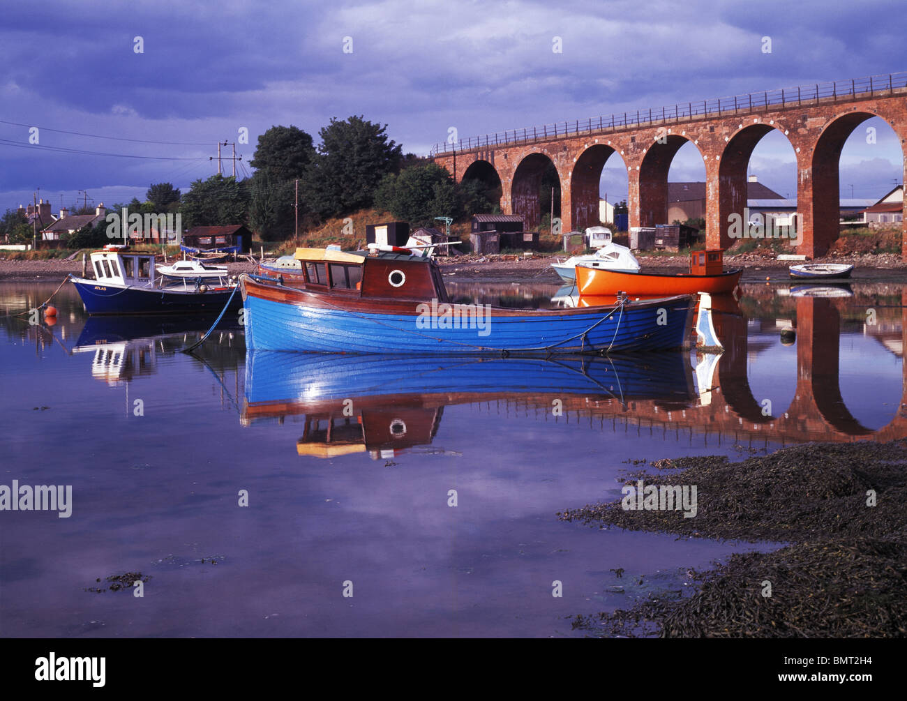 Montrose Basin and Viaduct, Montrose, Angus, Scotland, U.K Stock Photo - Alamy