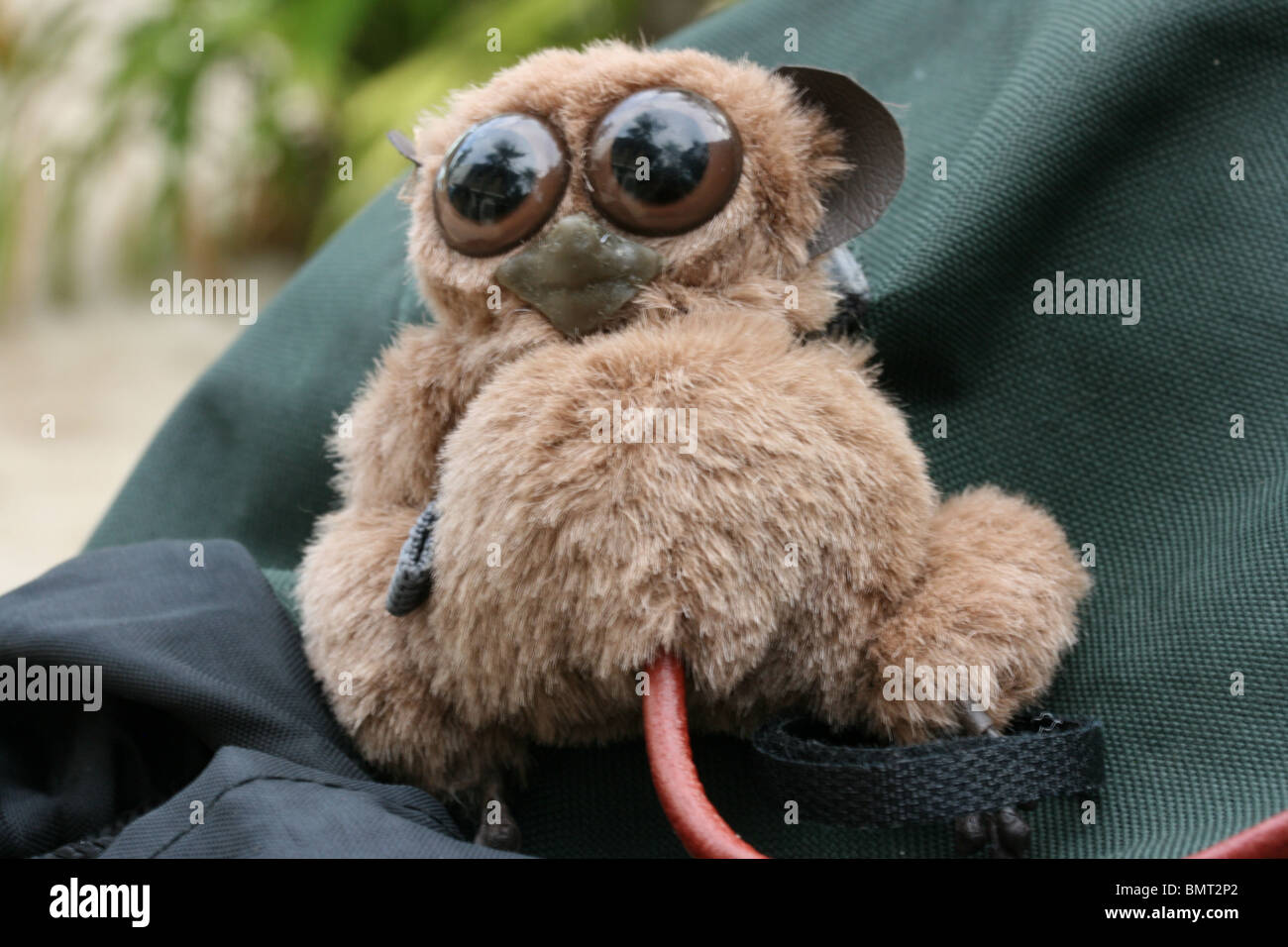 Tarsier Bohol Toy Stock Photo - Alamy
