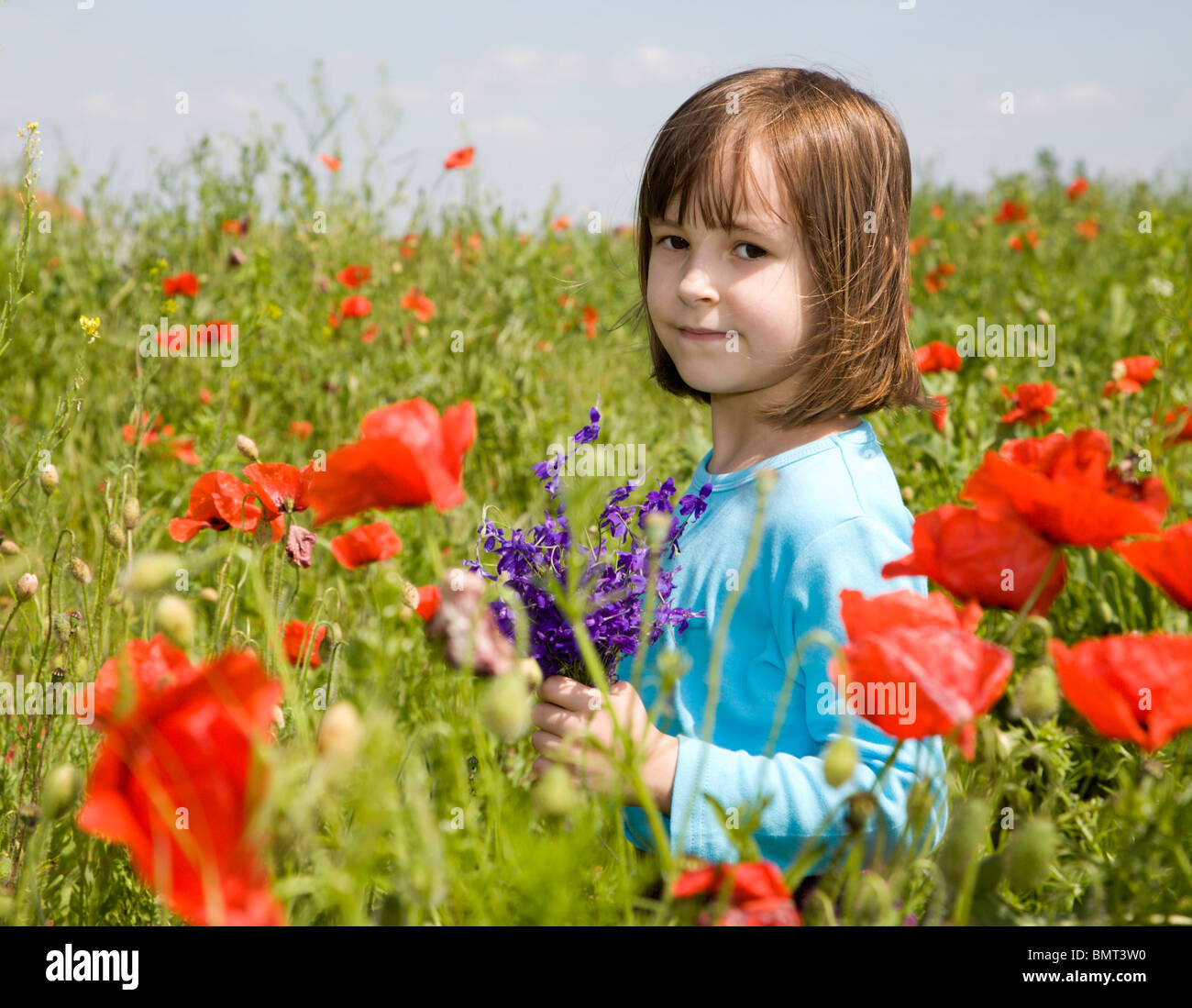 little girl and corn roses Stock Photo - Alamy