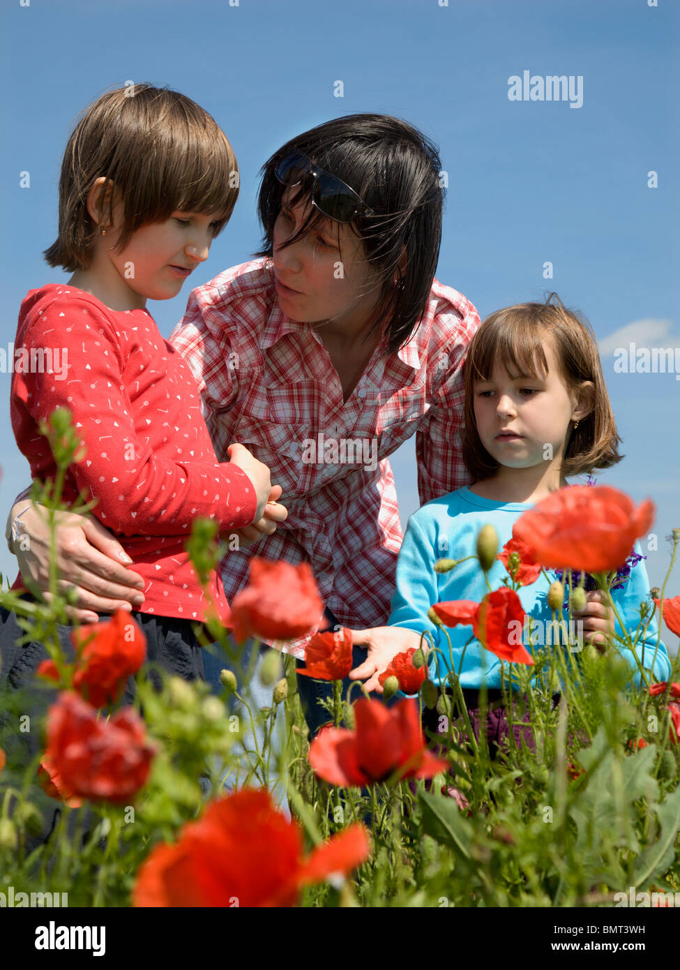 mother and children and the corm poppy Stock Photo - Alamy