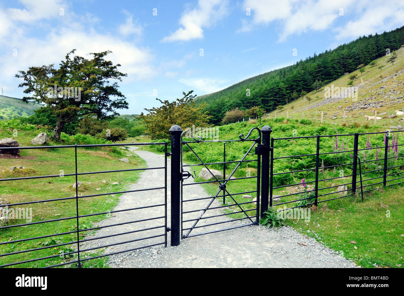 Wrought iron gate on footpath in Gwynedd Wales Stock Photo - Alamy