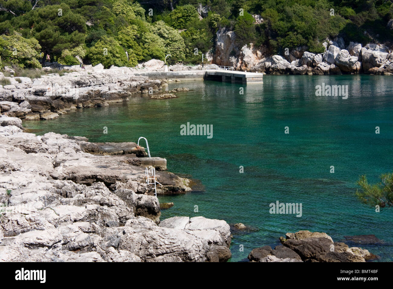 Beach on Lokrum Island, Dalmatia, Croatia Stock Photo - Alamy