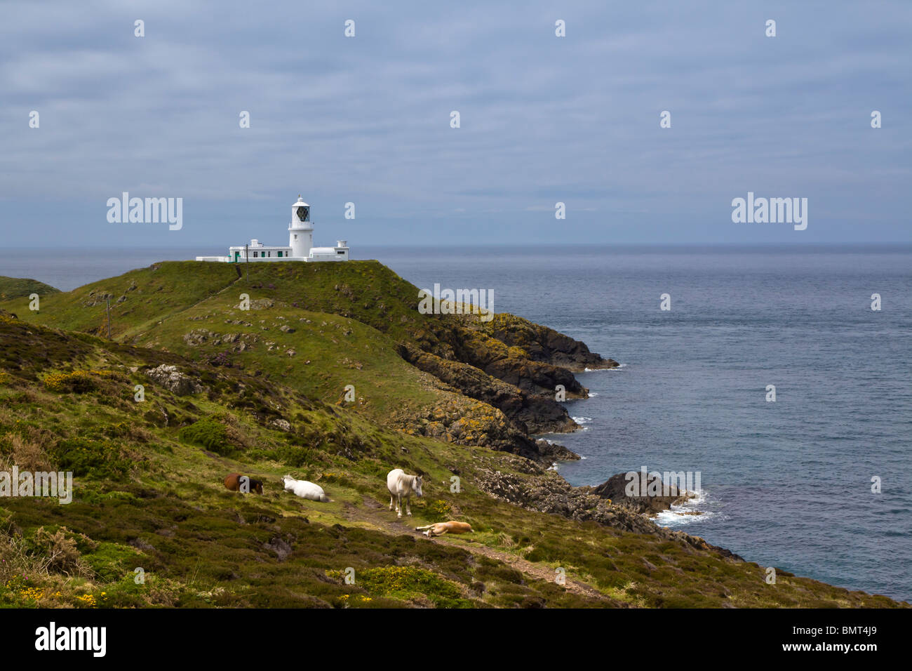 Strumble Head Lighthouse Stock Photos & Strumble Head Lighthouse Stock ...
