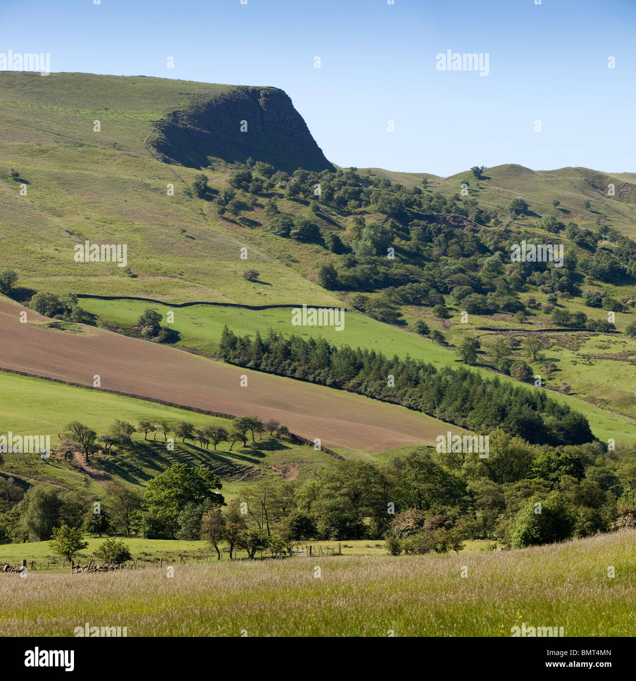 Vale of edale lambs hi-res stock photography and images - Alamy