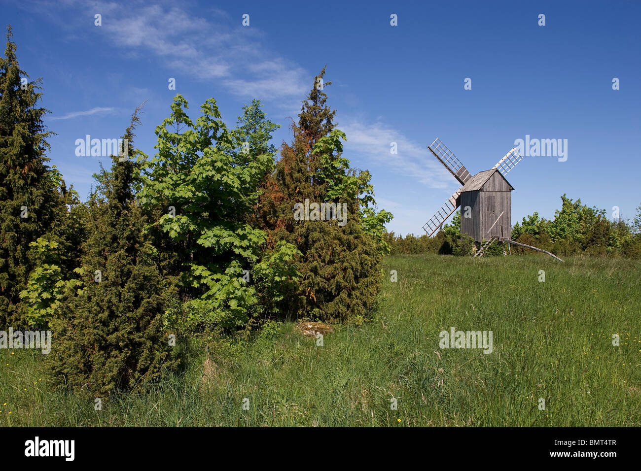 Estonia,Muhu Island,Koguva,Open Air Museum ,windmill,wooden Stock Photo ...