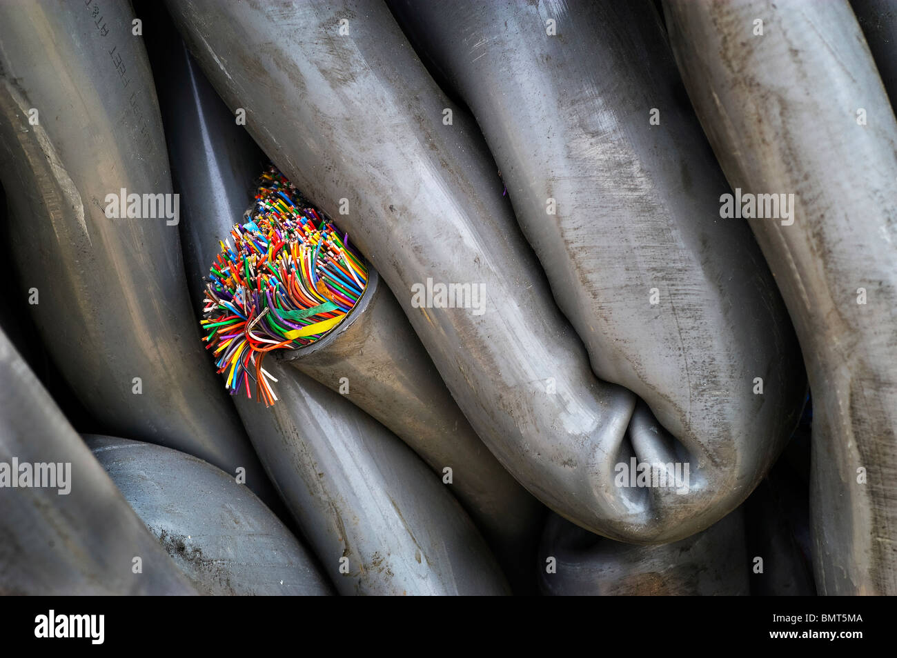 Bundled gray cable with a colorful opening of small wires is ready to ...