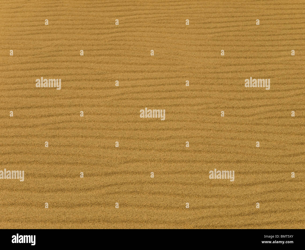 Wind formed sand waves hi-res stock photography and images - Alamy