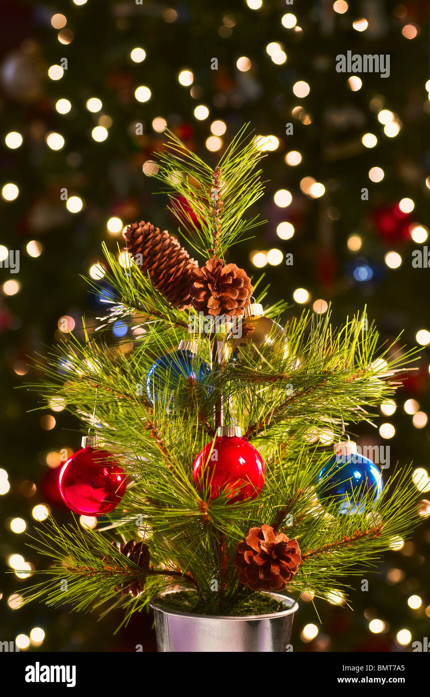A Small Tree In A Pot Decorated For Christmas Stock Photo - Alamy