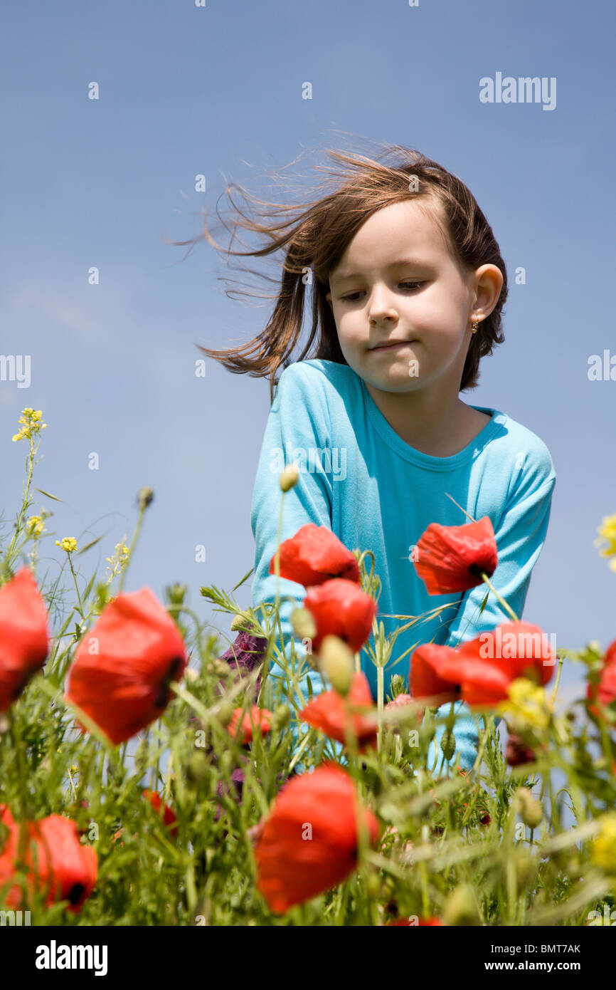 little girl and corn roses Stock Photo - Alamy