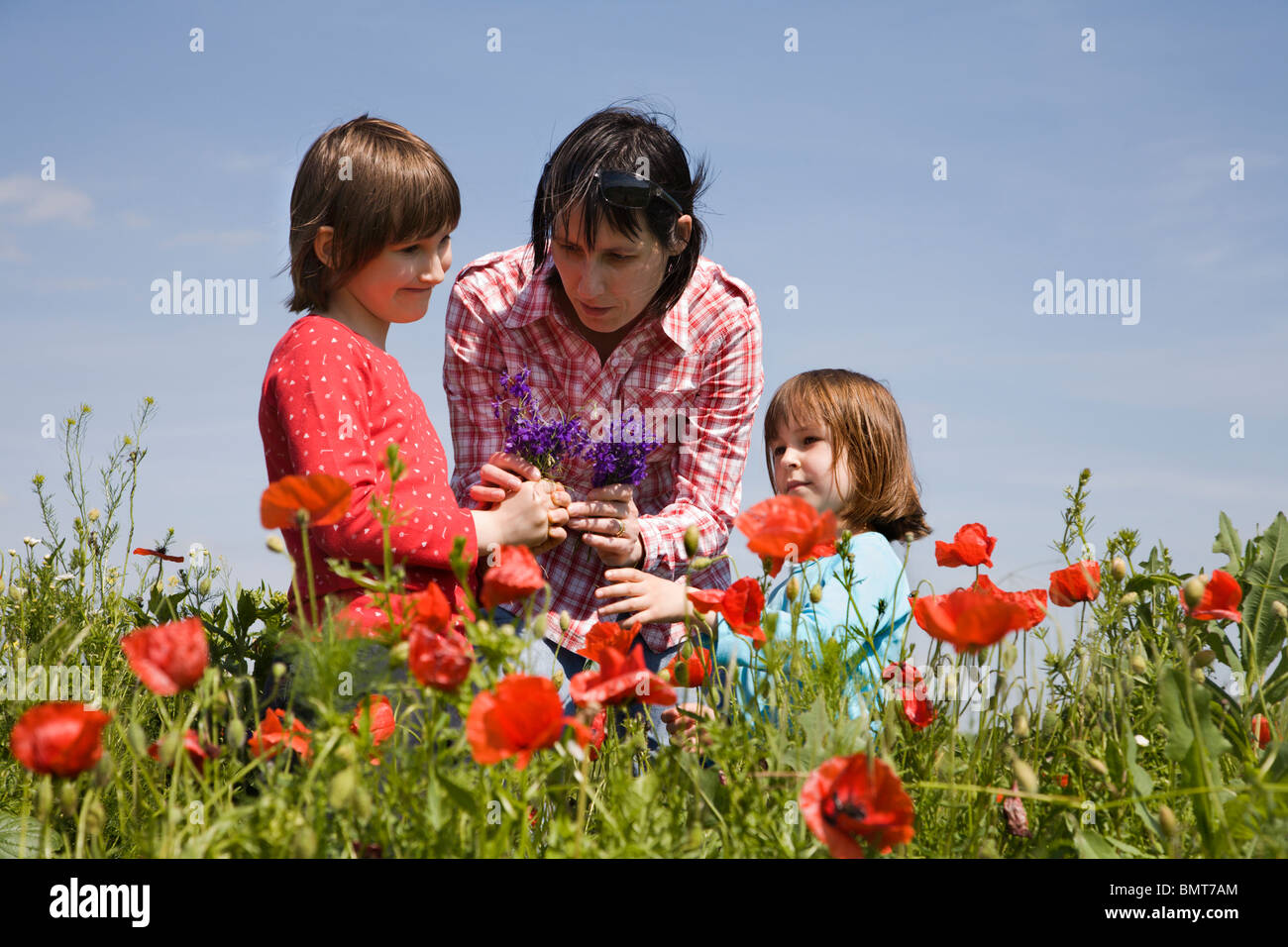 mother and children and the corm poppy Stock Photo - Alamy