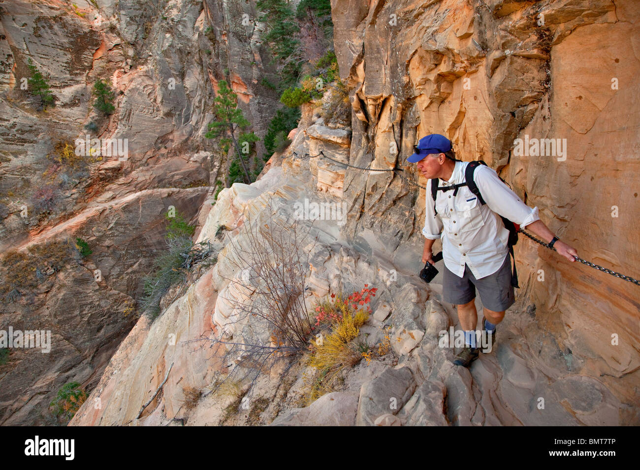 Hiker hanging on to chain on Hidden Canyon Trail at Zion National Park ...