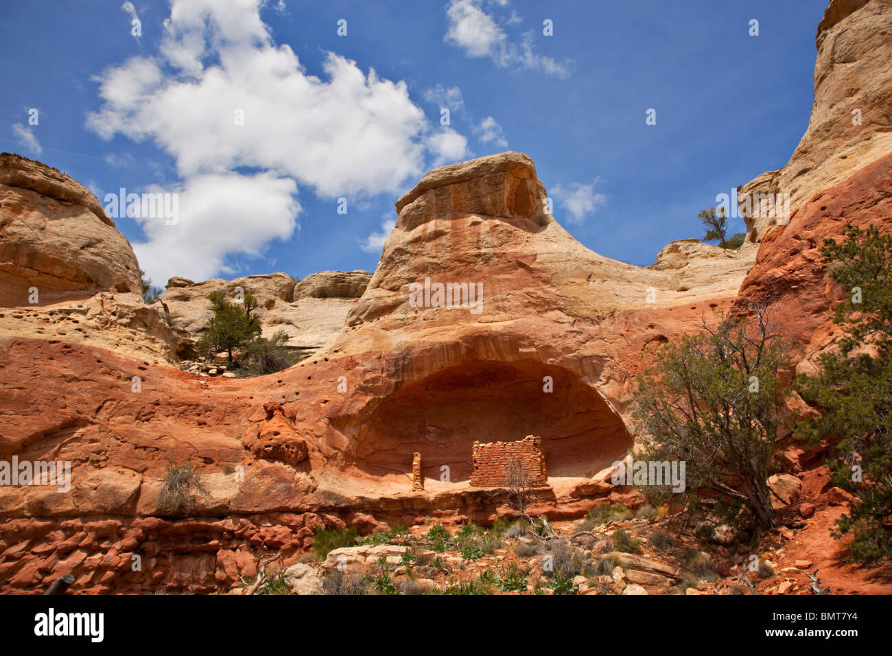 Saddle Horn Ruin in cliff alcove along Sand Canyon Trail, Canyons of ...