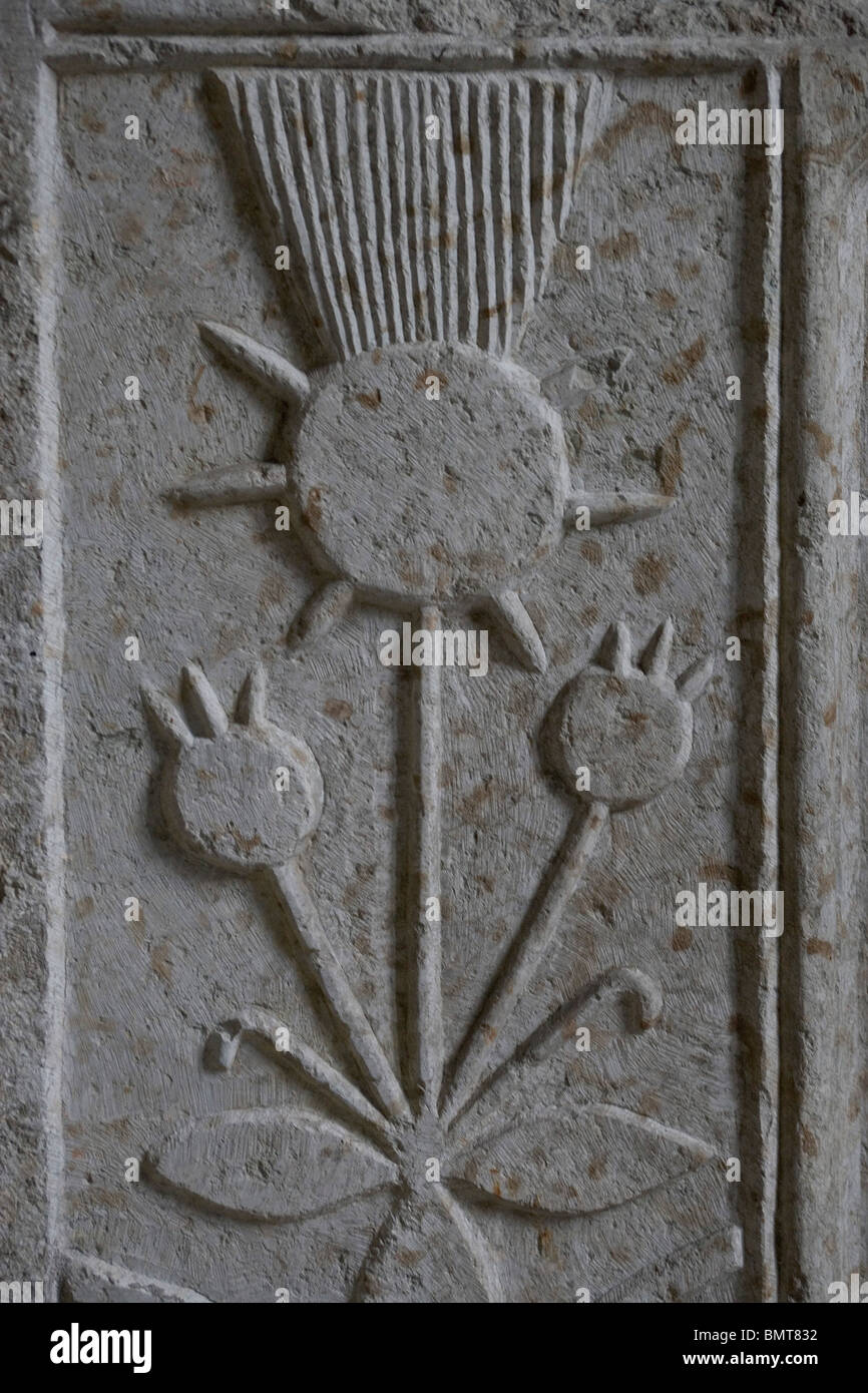 Claustrum hi-res stock photography and images - Alamy