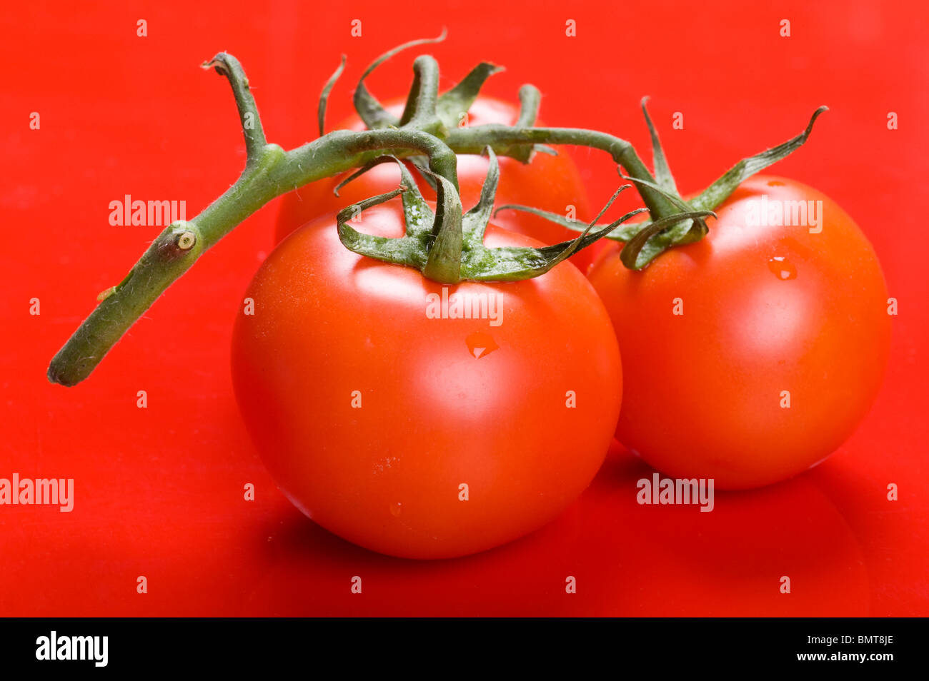 object on red - food tomato close up Stock Photo - Alamy