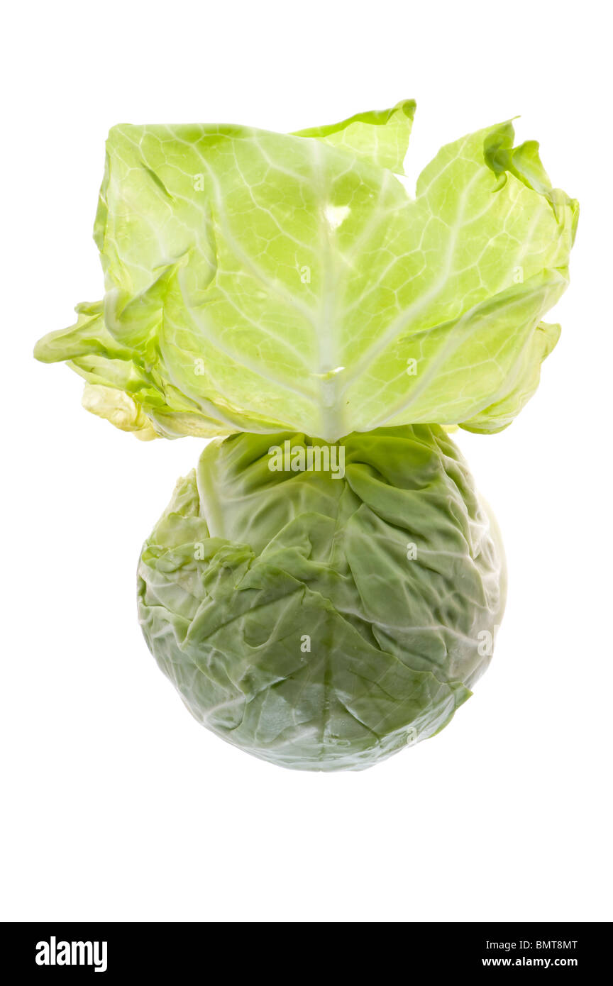 object on white - food cabbage close up Stock Photo - Alamy