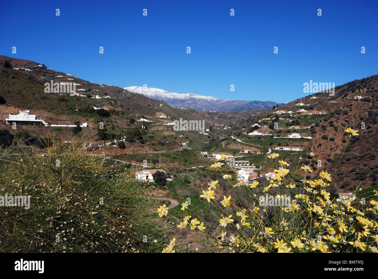 View across countryside with wild flowers in foreground, near Velez ...