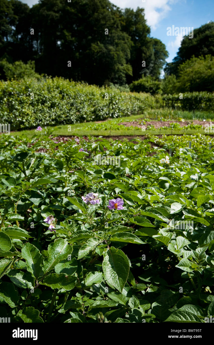 Lord rosebery hi-res stock photography and images - Alamy