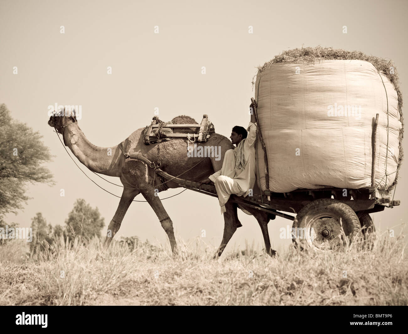 Bale along a road hi-res stock photography and images - Alamy