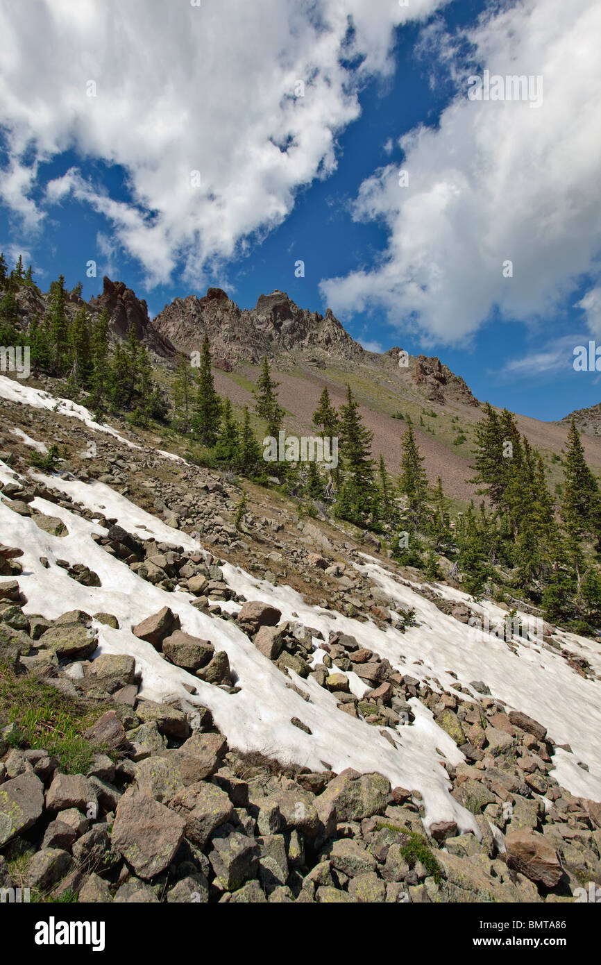 Tundra vegetation hi-res stock photography and images - Alamy