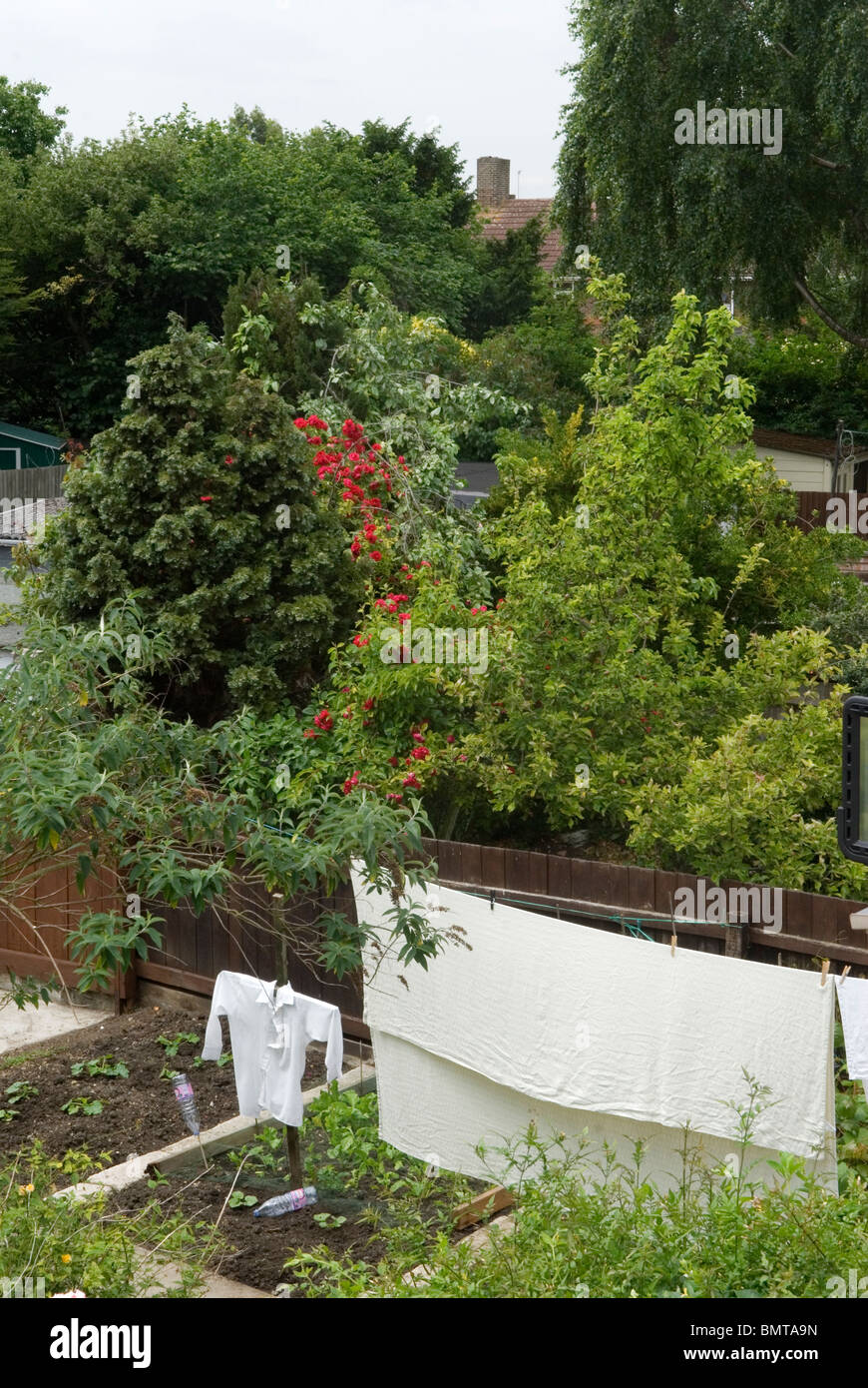 Suburban back garden hi-res stock photography and images - Alamy