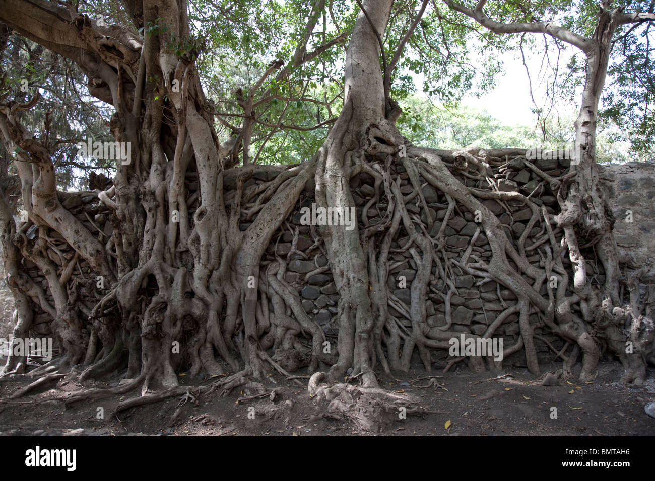 Africa. Ethiopia. Gonder Stock Photo - Alamy