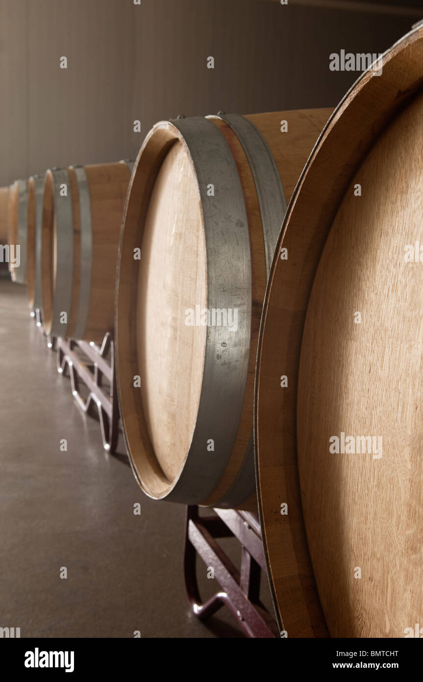 New french oak casks in a winery, Alentejo, Portugal Stock Photo - Alamy