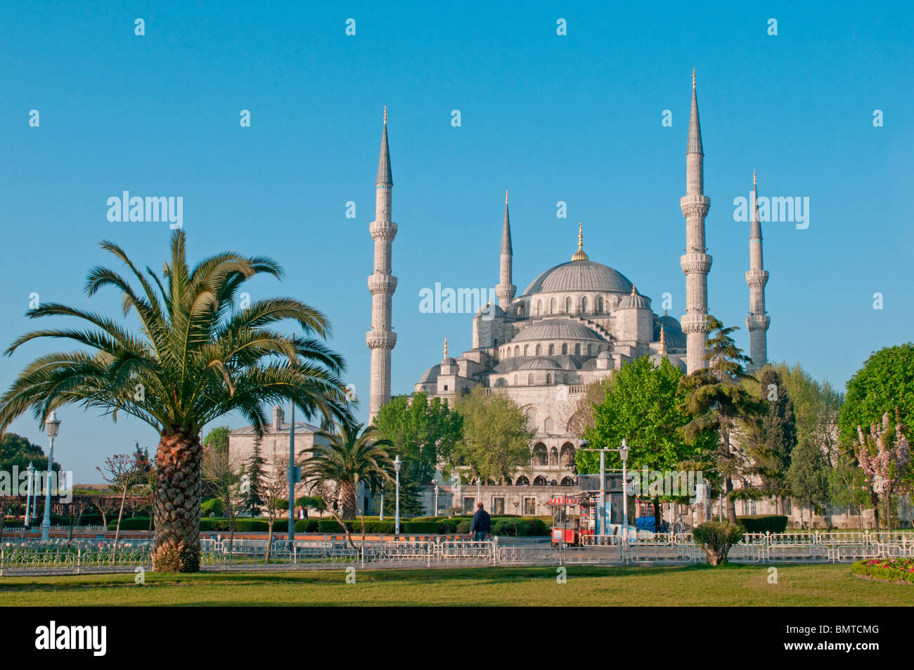 The Blue Mosque, view from the park, Istanbul, Turkey Stock Photo - Alamy
