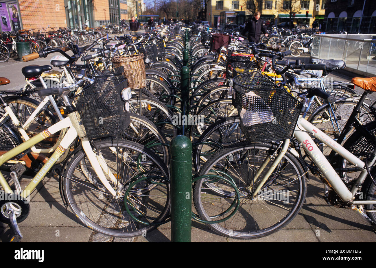 hundreds of parked bicycles in the city of Copenhagen Denmark Stock ...