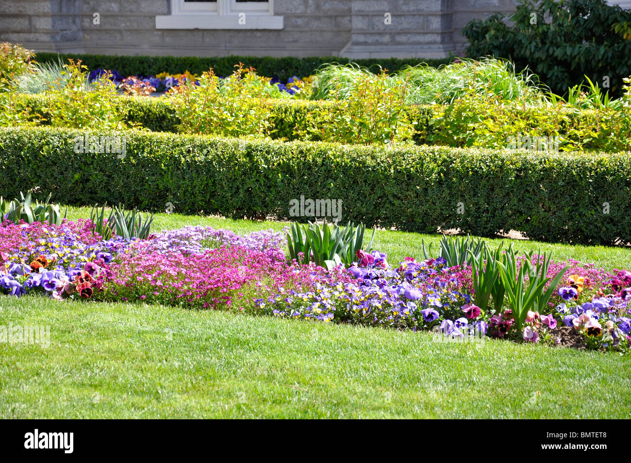 Garden with mixed flowers blooming in spring Stock Photo - Alamy