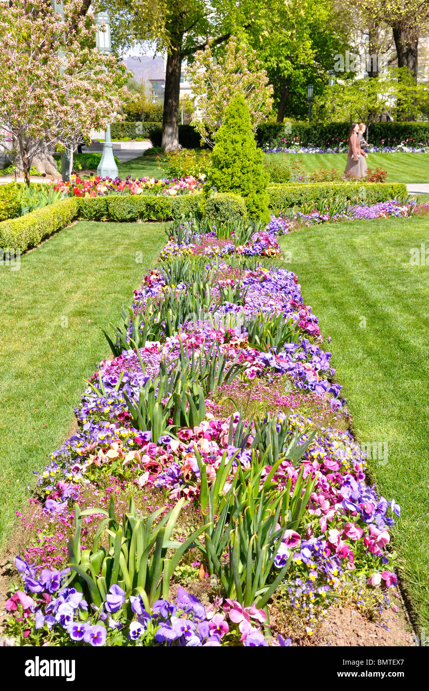 Flower garden, Salt Lake City, Utah, USA Stock Photo - Alamy
