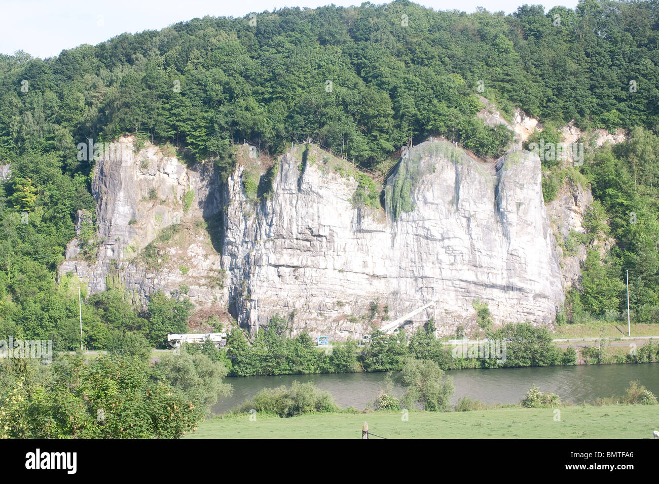 trees wood chalk valley cliff side the meuse ardenne belgium Stock ...