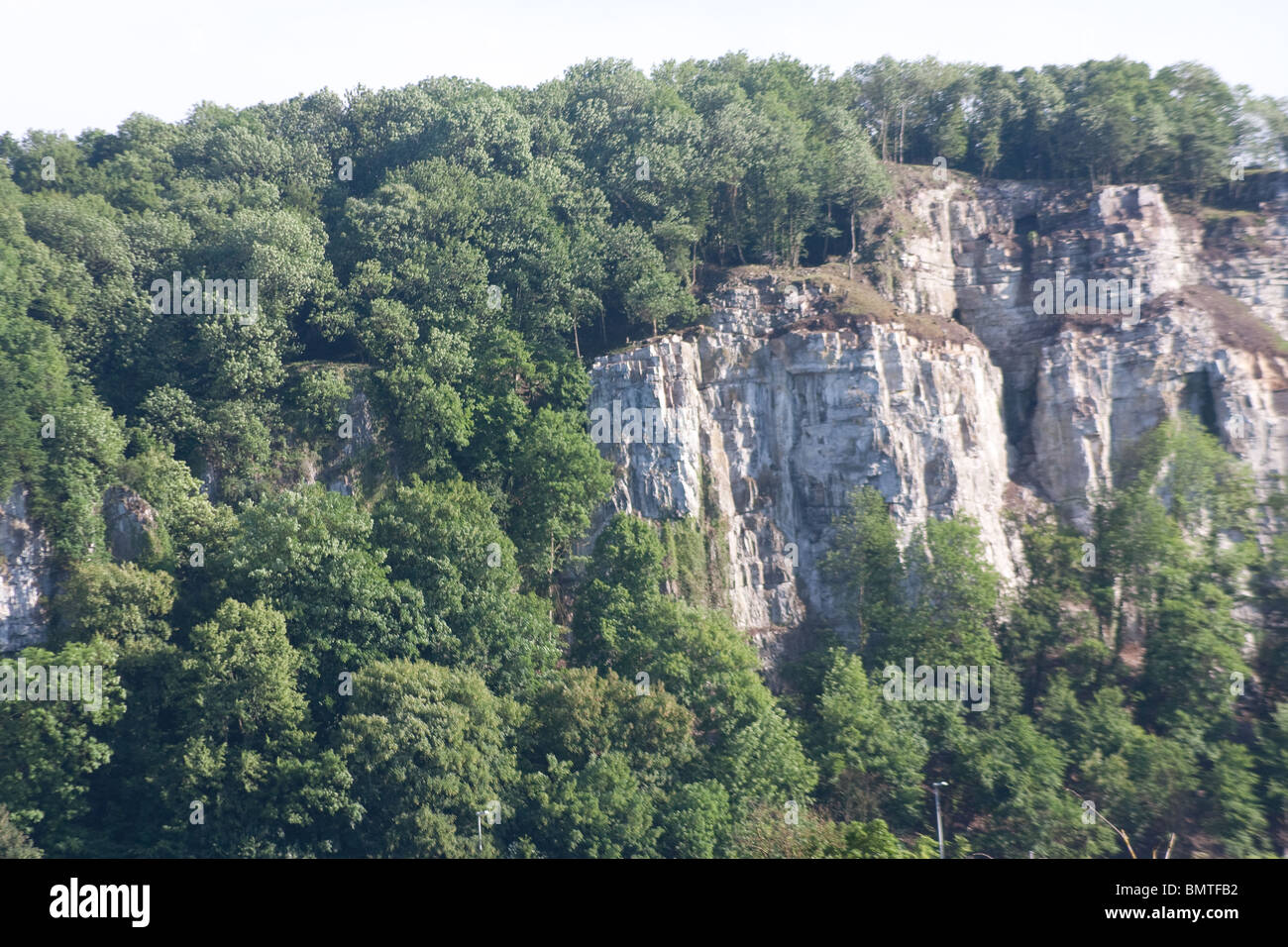 trees wood chalk valley cliff side the meuse ardenne belgium Stock ...