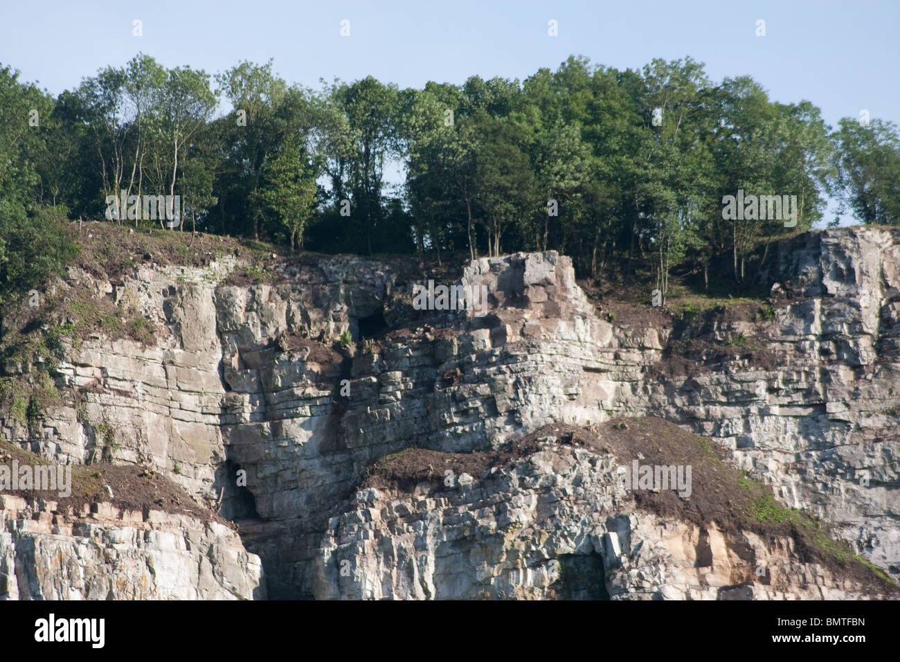 trees wood chalk valley cliff forest valley hill Stock Photo - Alamy