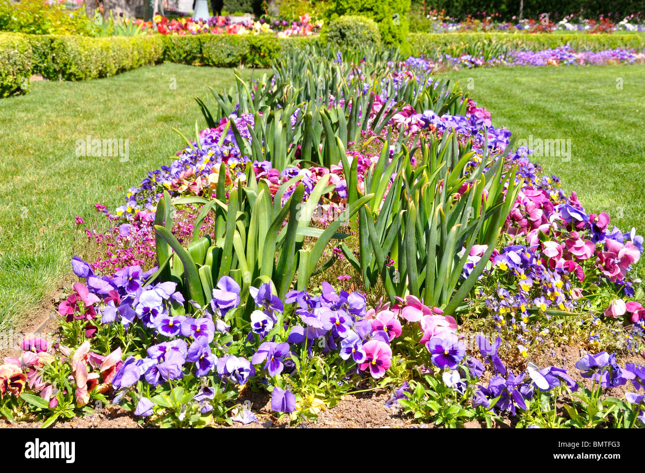 Garden with mixed flowers Stock Photo - Alamy