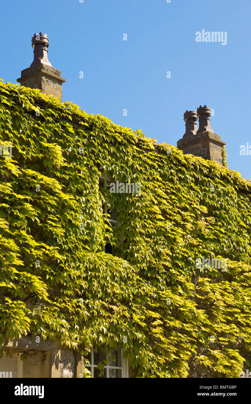 Ivy house uk hi-res stock photography and images - Alamy