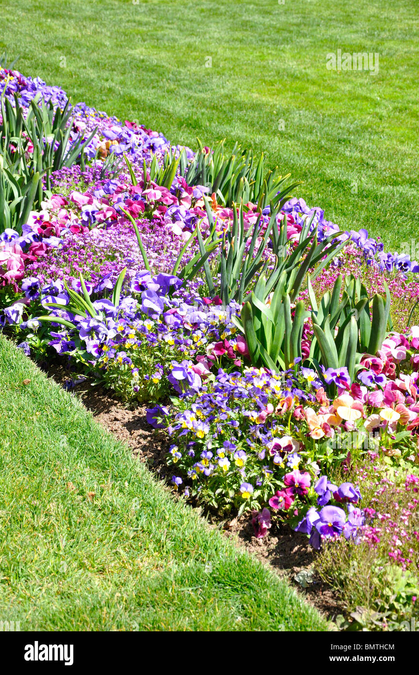 Garden with mixed flowers Stock Photo - Alamy