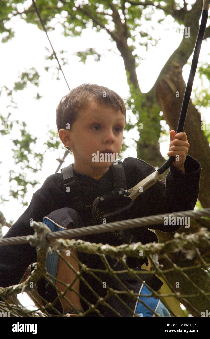 Boy on Bonobo aerial rope course, Quimper, France, Europe Stock Photo ...