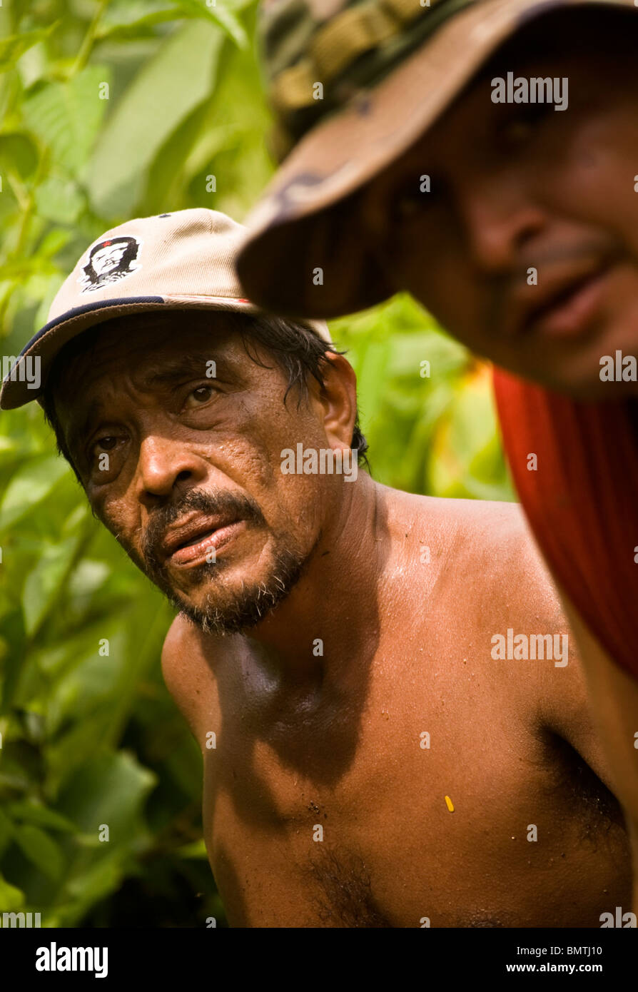 Kuna Indian men in the jungle, supervising the launch of an ulu built ...