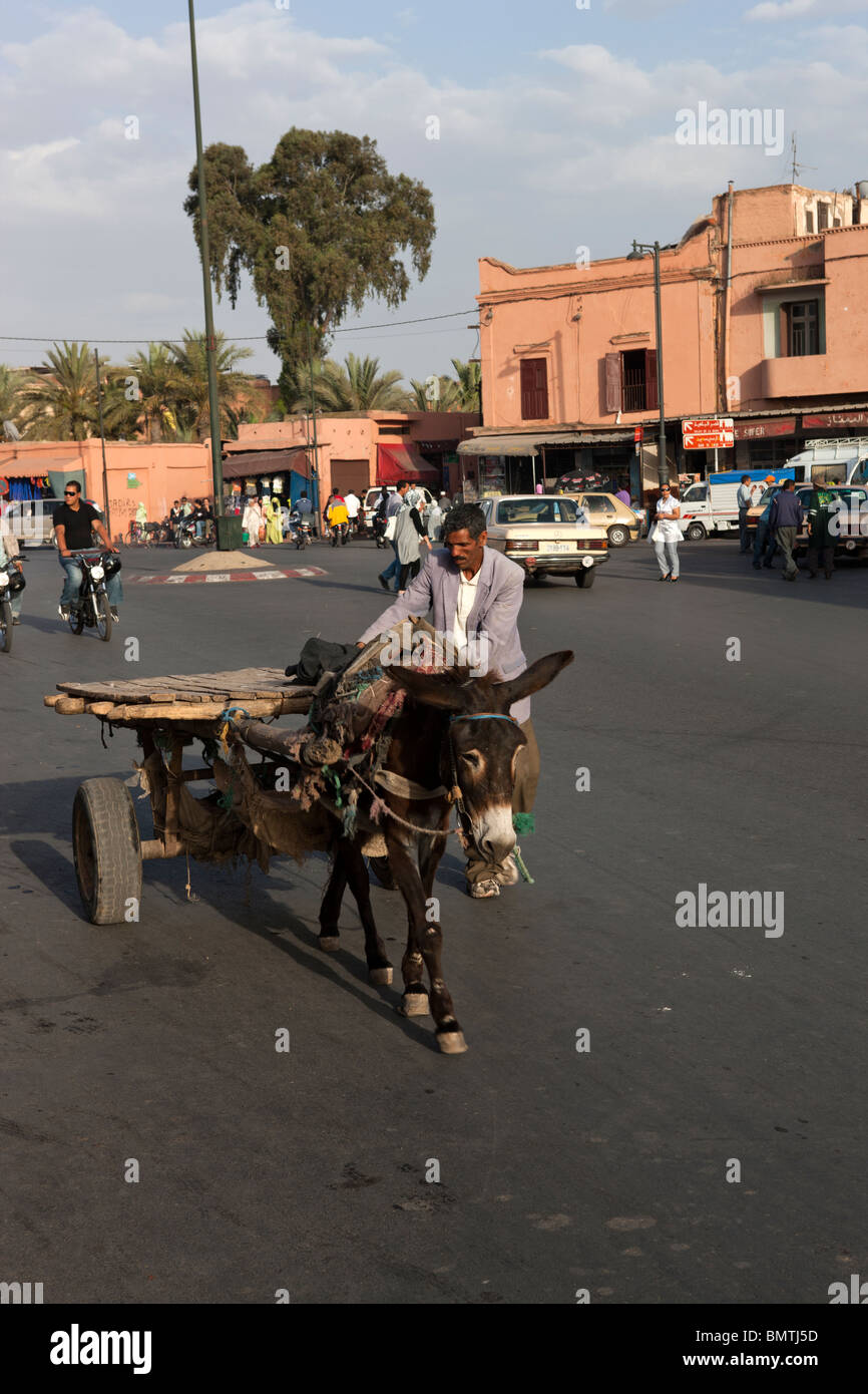 Empty donkey cart delivery. Marrakech. Morocco. Africa Stock Photo - Alamy