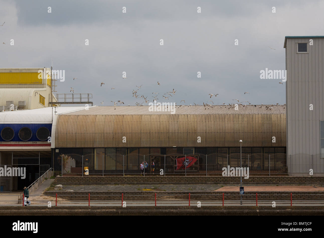 Seagulls wheeling over the Rhyl Sun Centre Stock Photo - Alamy